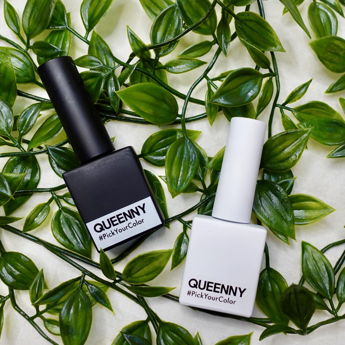 BASIC STARTER KIT | QUEENNY USA